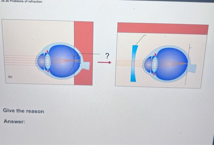 Solved Give the reason Answer: | Chegg.com