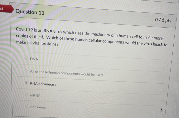 Solved All of these are differences between RNA and DNA | Chegg.com