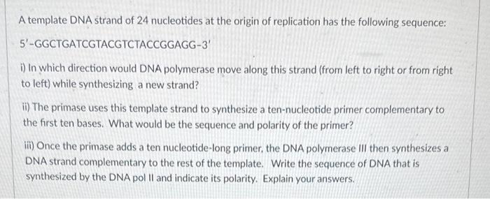 Solved A template DNA strand of 24 nucleotides at the origin | Chegg.com