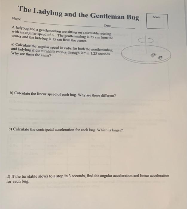 Solved The Ladybug and the Gentleman Bug Name Score: Dale A | Chegg.com