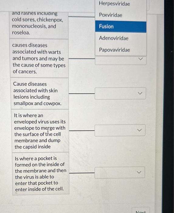 Solved Herpesviridae and rashes incluaing cold sores, | Chegg.com