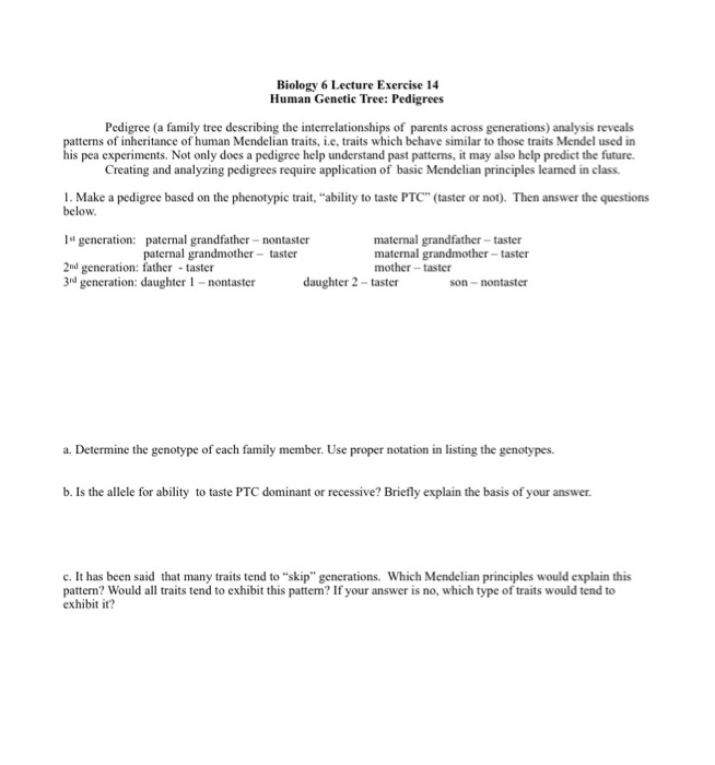 Solved Biology 6 Lecture Exercise 14 Human Genetic Tree: | Chegg.com