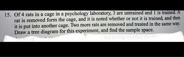 Solved 5. Of 4 rats in a cage in a psychology laboratory, 3 | Chegg.com