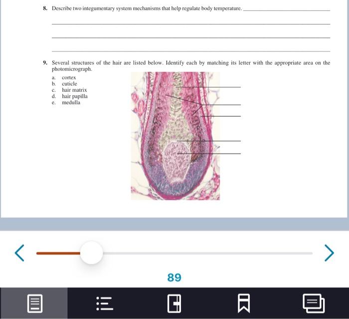 Solved 8 Describe Two Integumentary System Mechanisms That Chegg