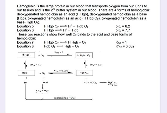 Hemoglobin is the large protein in our blood that | Chegg.com