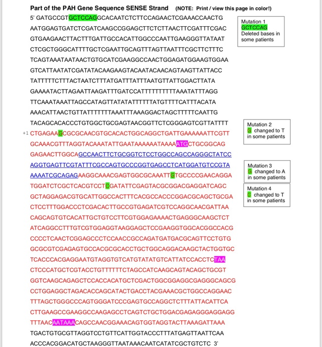 2. Print the provided sequence of the PAH gene (from | Chegg.com