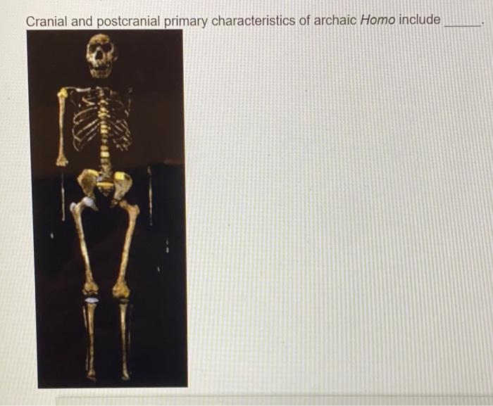 Solved Cranial and postcranial primary characteristics of | Chegg.com