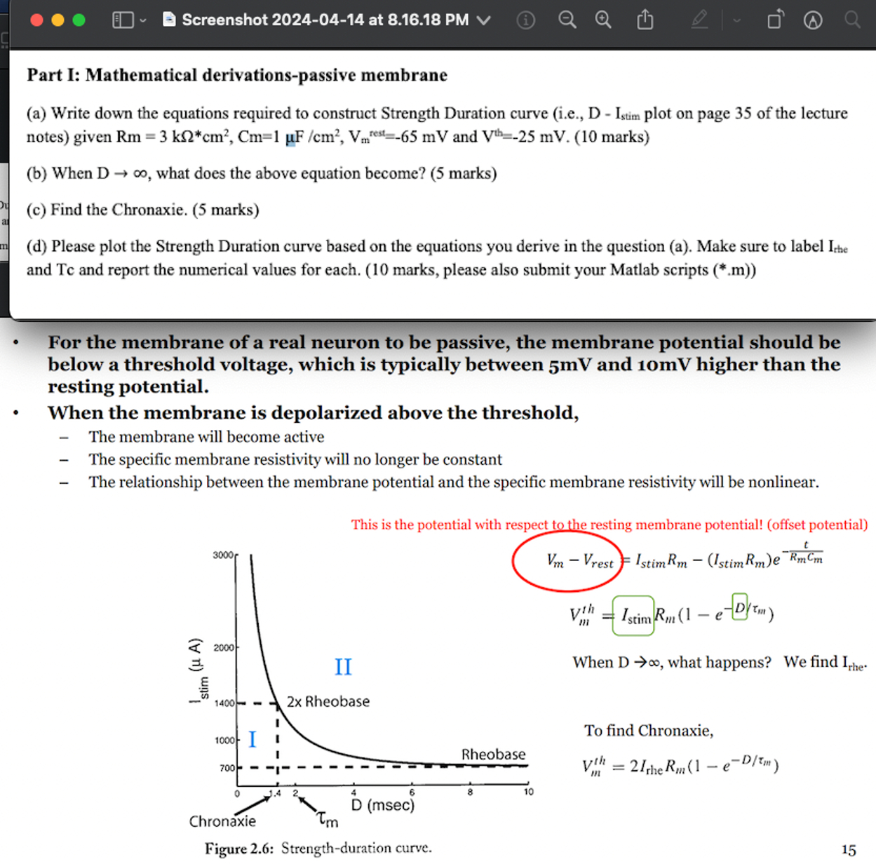 Solved For the membrane of a real neuron to be passive, the | Chegg.com