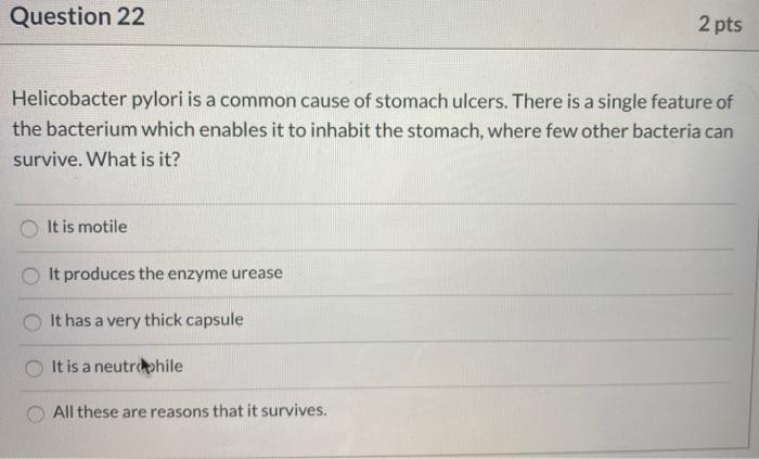 Solved Question 22 2 pts Helicobacter pylori is a common | Chegg.com