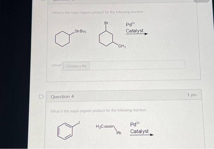 Solved What is the major organic product for the following | Chegg.com