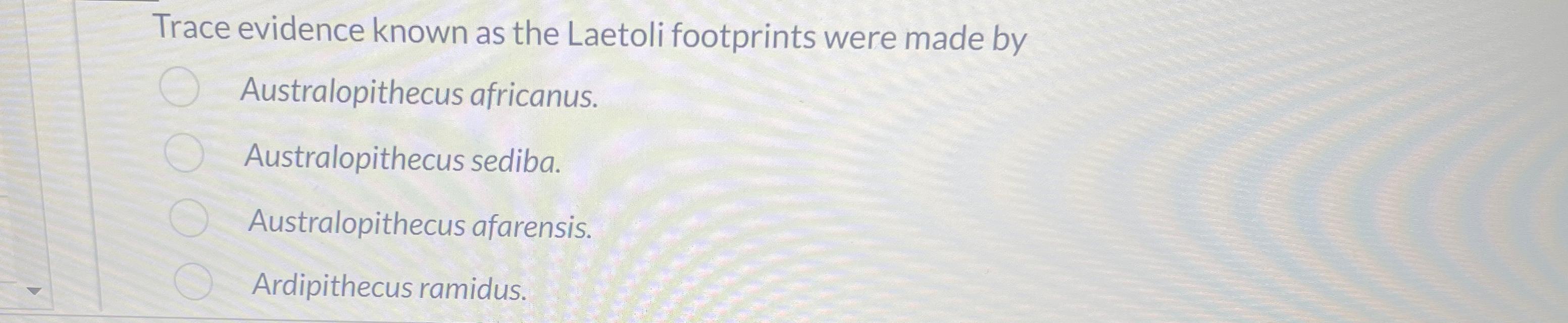 Solved Trace evidence known as the Laetoli footprints were | Chegg.com