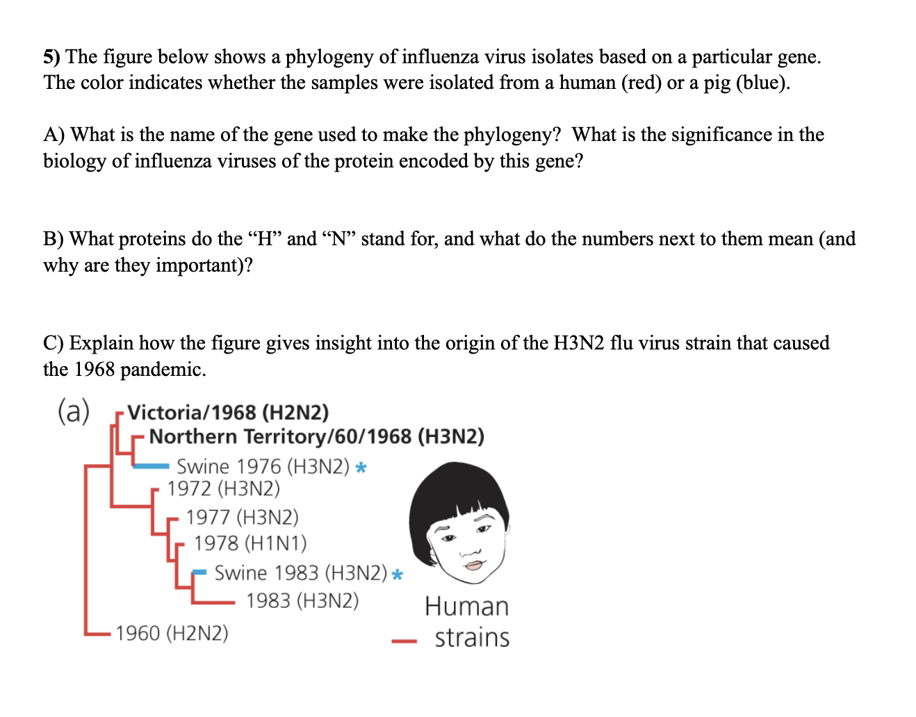 Solved The figure below shows a phylogeny of influenza virus | Chegg.com