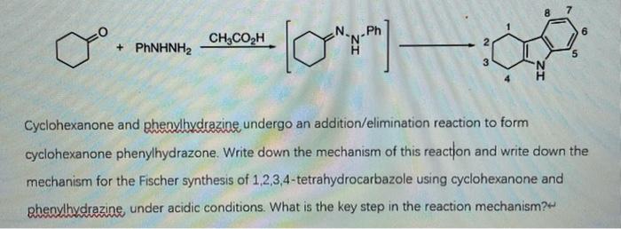 Solved Cyclohexanone and phenylhydrazine undergo an | Chegg.com