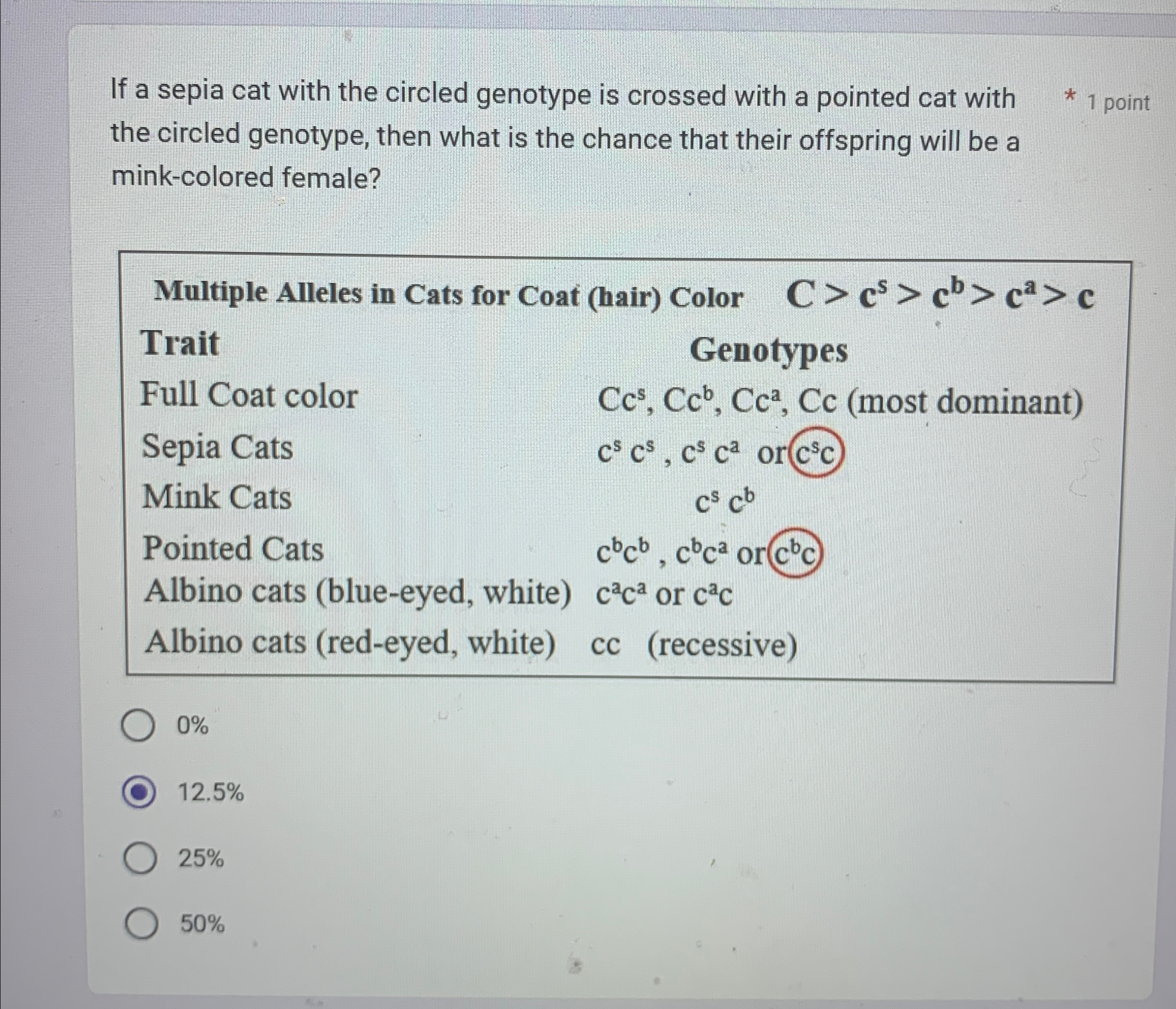 Solved If a sepia cat with the circled genotype is crossed | Chegg.com