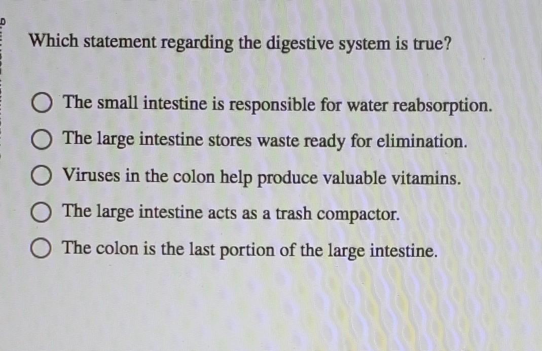 Solved Which statement regarding the digestive system is | Chegg.com