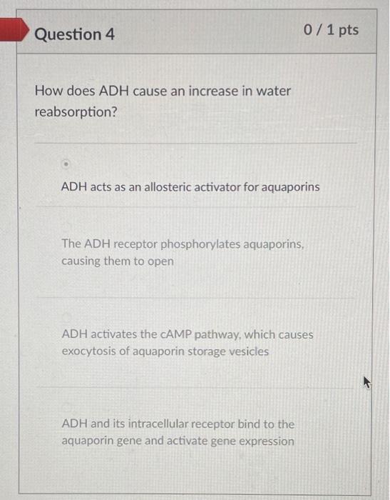 Solved How does ADH cause an increase in water reabsorption? | Chegg.com