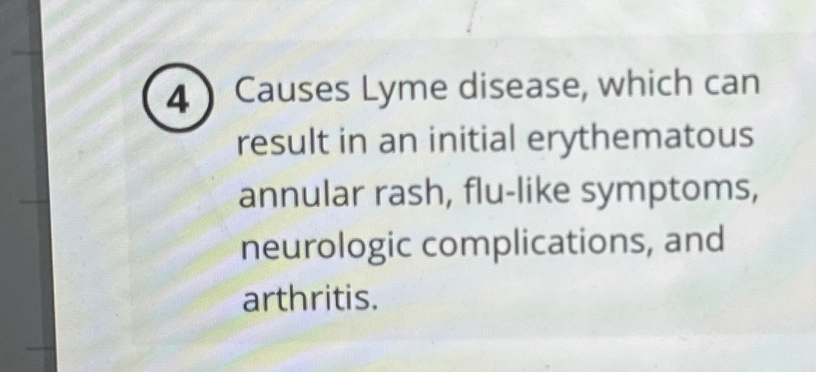Solved (4) ﻿Causes Lyme disease, which can result in an | Chegg.com