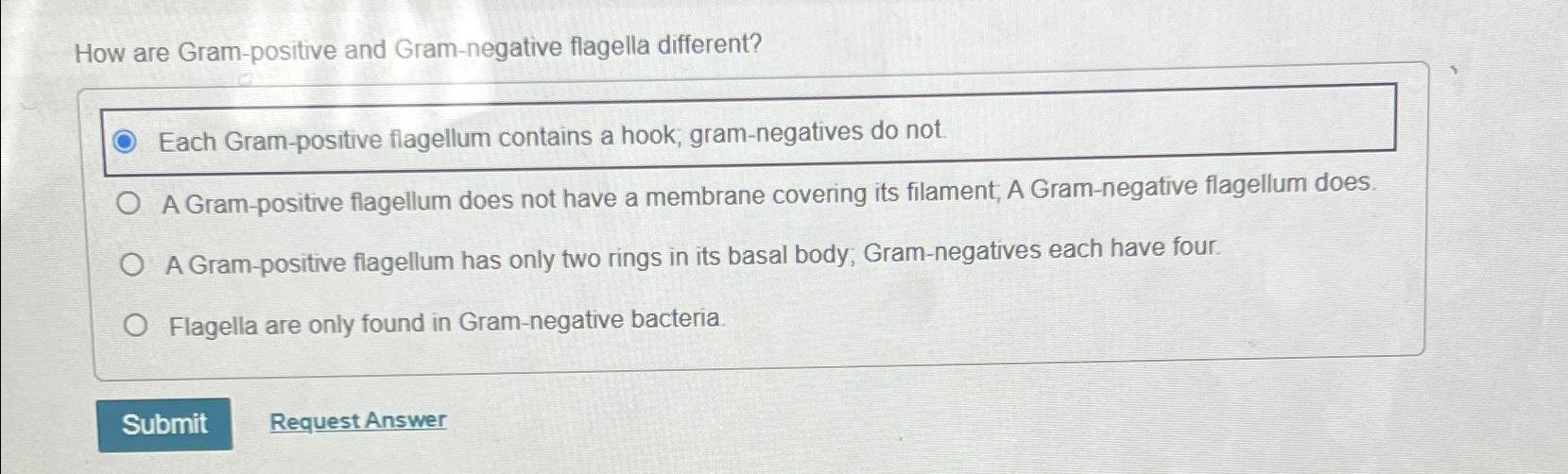 Solved How are Gram-positive and Gram-negative flagella | Chegg.com