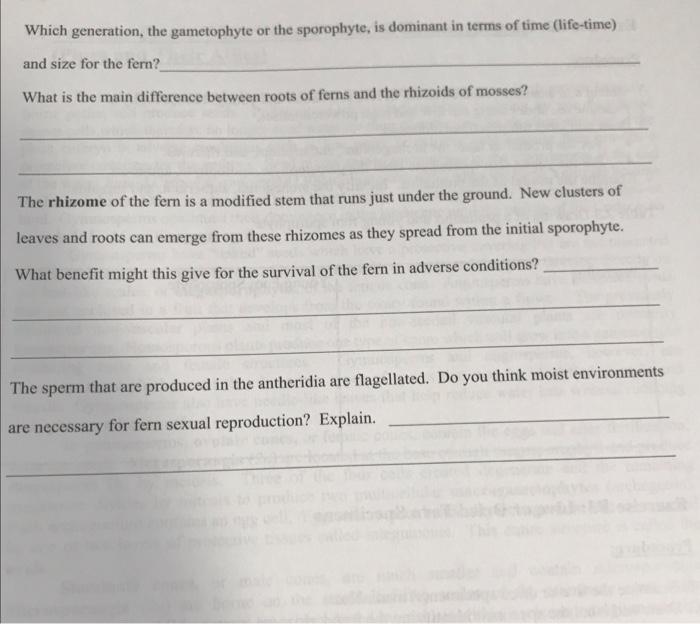 Solved Exercise B1: The Fern L.ife Cycle Figure 2.3 A | Chegg.com