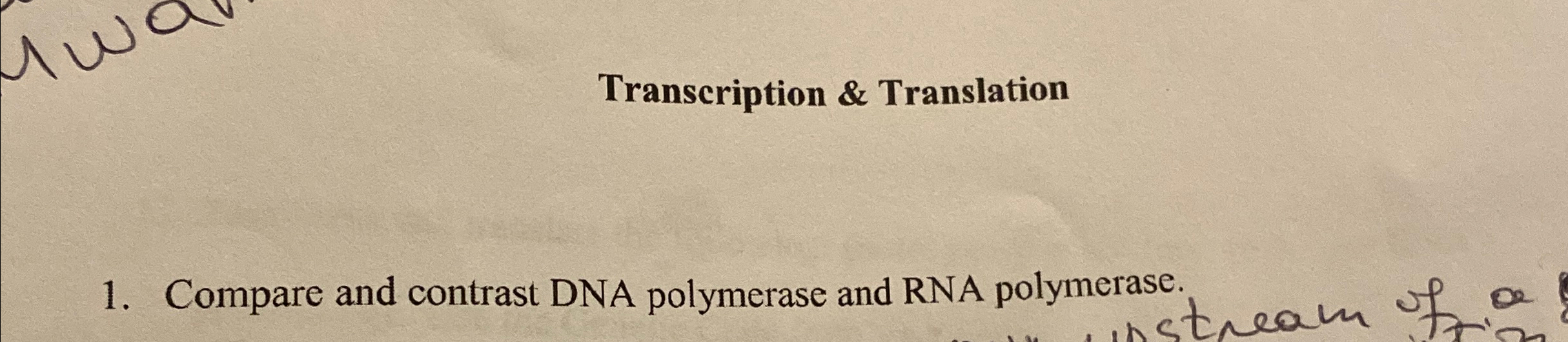Solved Transcription & TranslationCompare and contrast DNA | Chegg.com