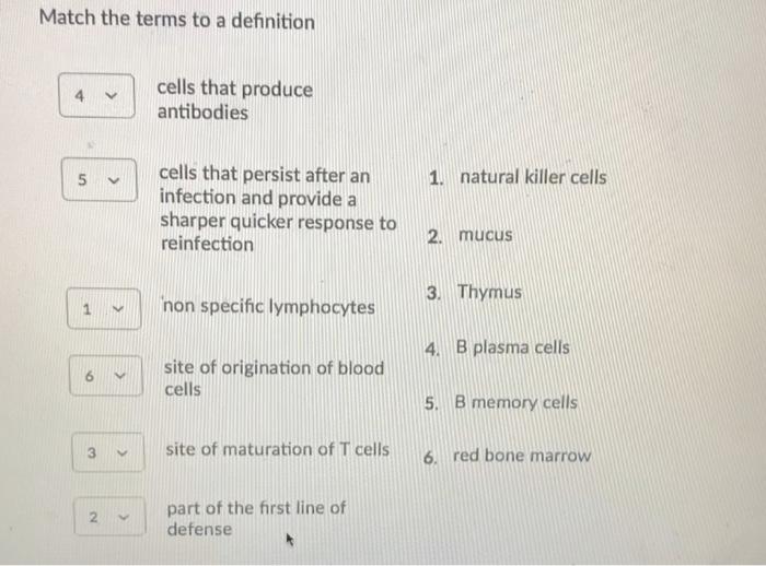Solved Put these structures into the correct order, as lymph | Chegg.com