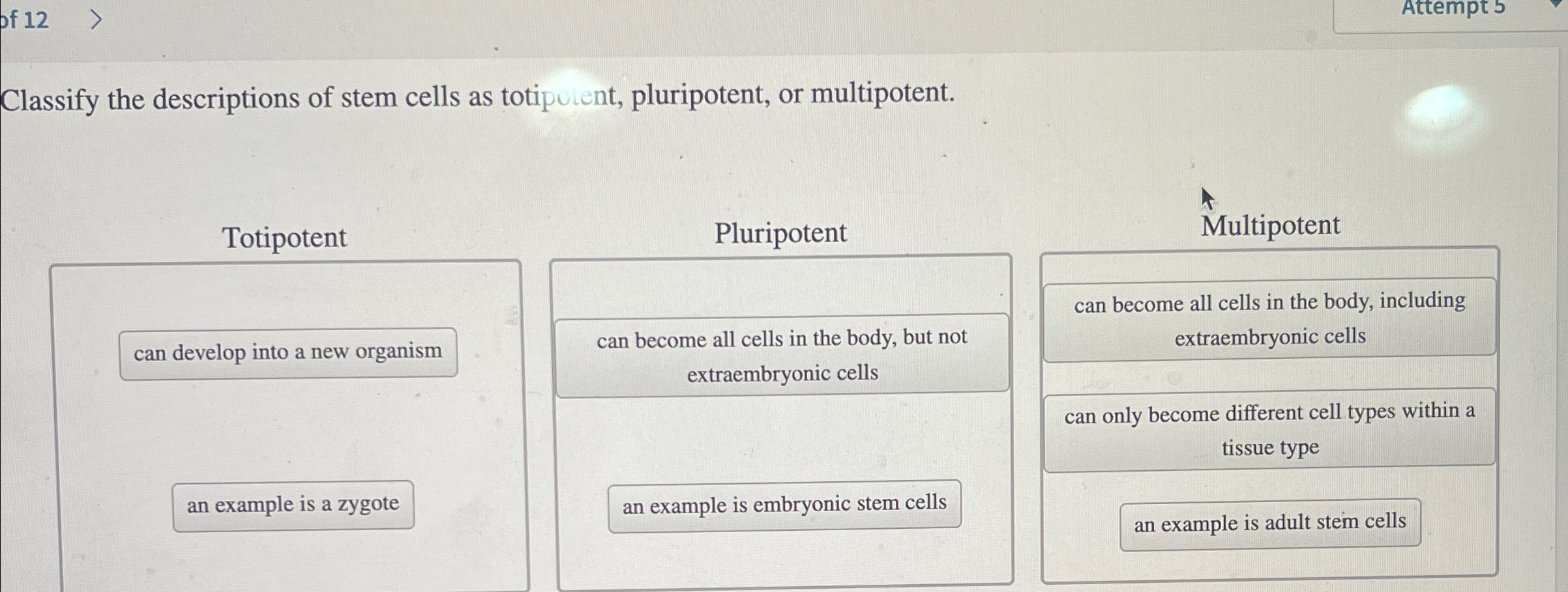 Solved Classify the descriptions of stem cells as | Chegg.com