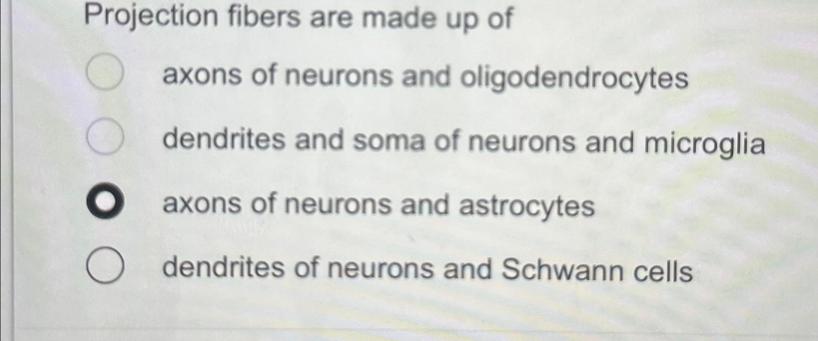 Solved Projection fibers are made up of axons of neurons and | Chegg.com