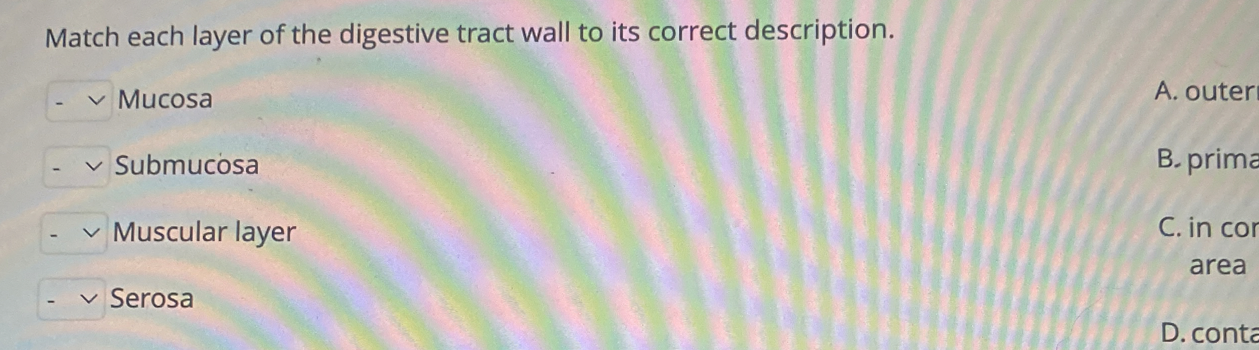 Solved Match each layer of the digestive tract wall to its | Chegg.com
