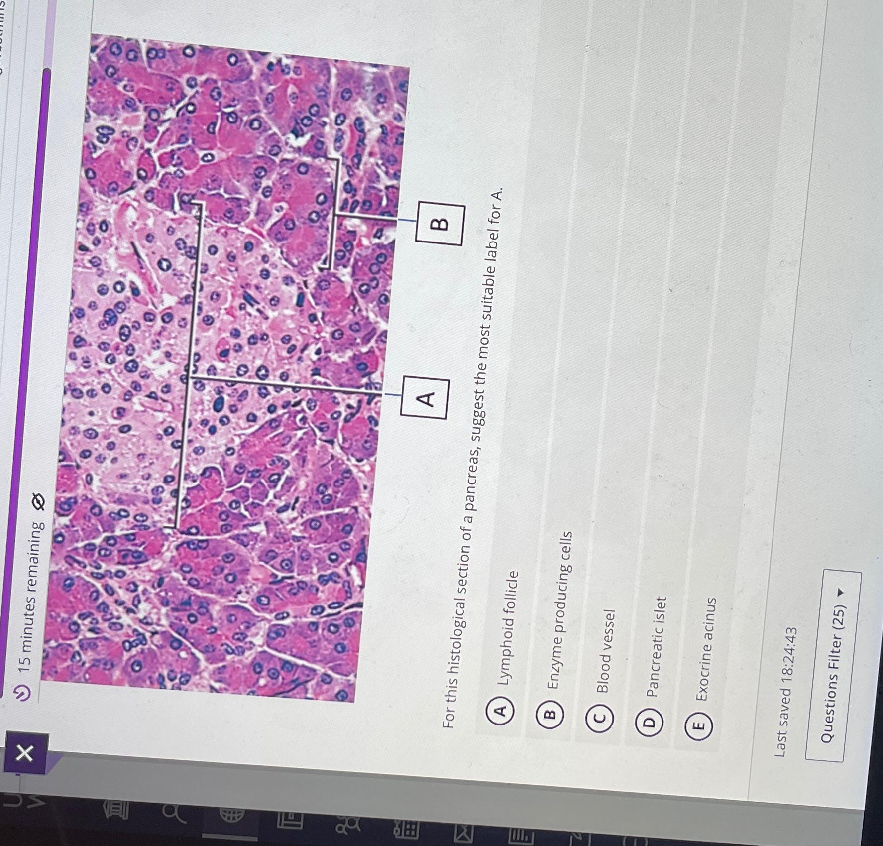 Solved (1) 15 ﻿minutes remaining O?ABFor this histological | Chegg.com