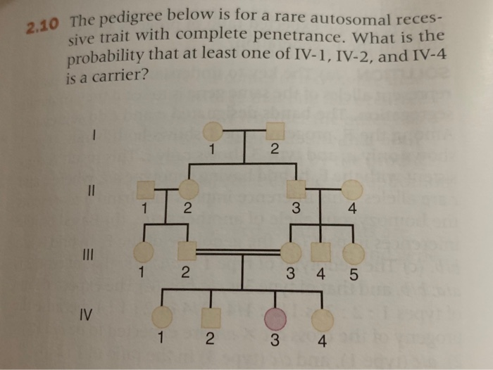 Solved 2.10 The pedigree below is for a rare autosomal | Chegg.com