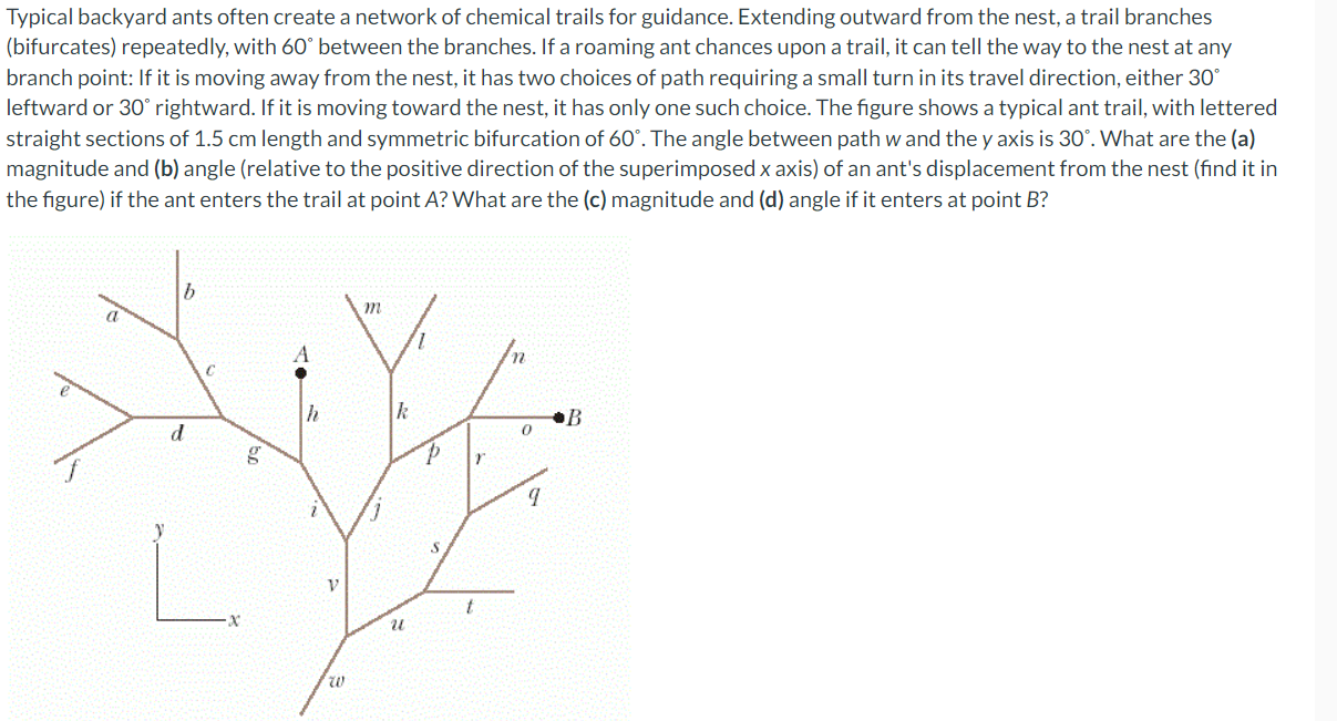 Solved Typical backyard ants often create a network of | Chegg.com