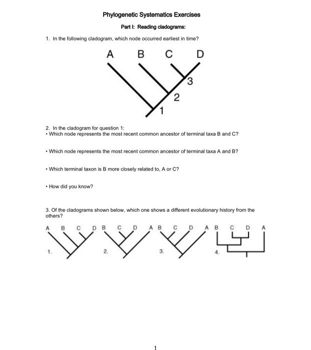 Solved Phylogenetic Systematics Exercises Part l: Reading | Chegg.com