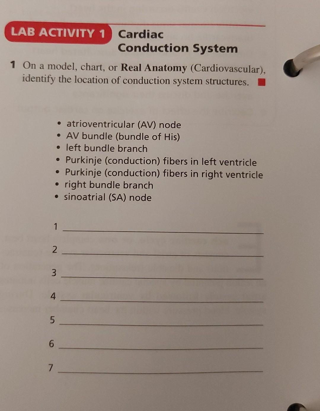 Solved Cardiac Conduction System 1 On a model, chart, or | Chegg.com