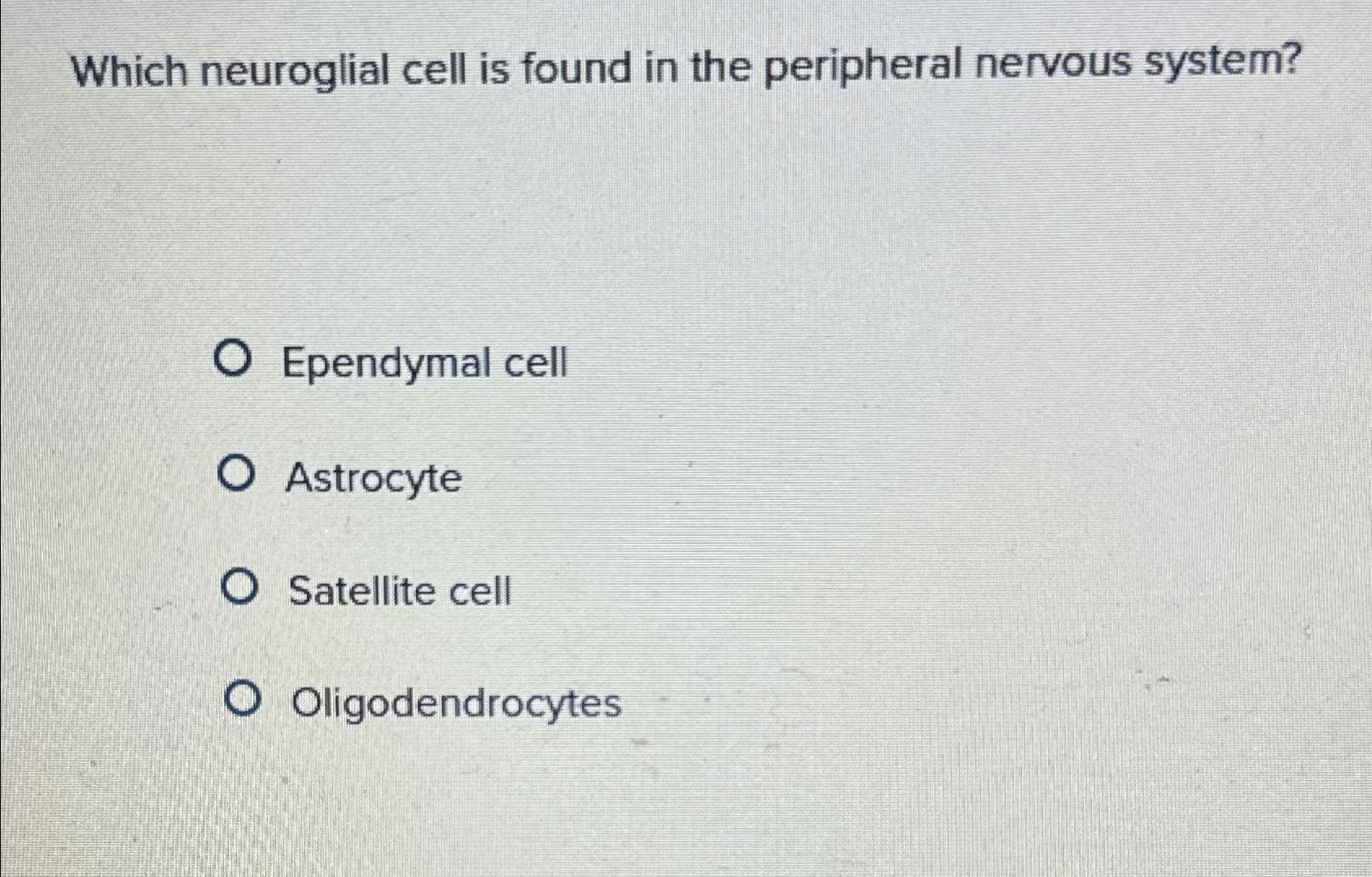 Solved Which neuroglial cell is found in the peripheral | Chegg.com