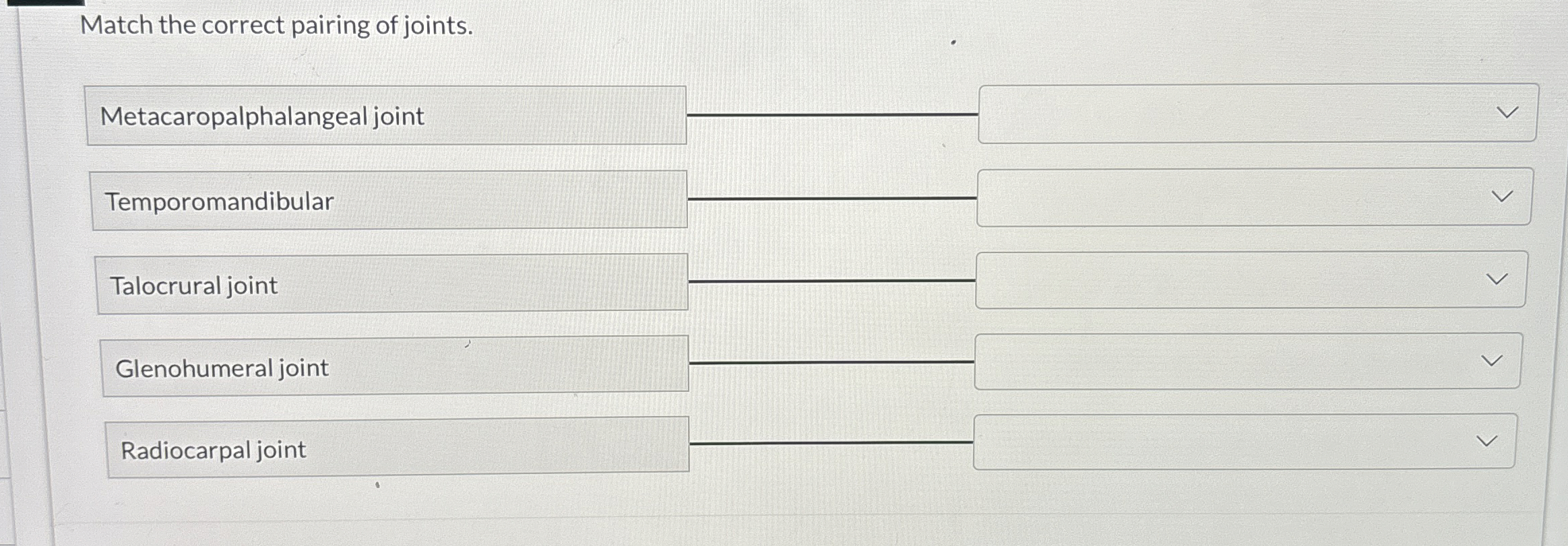 Solved Match the correct pairing of | Chegg.com