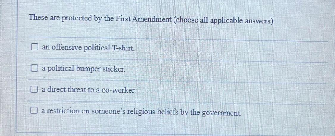 Solved These are protected by the First Amendment (choose | Chegg.com