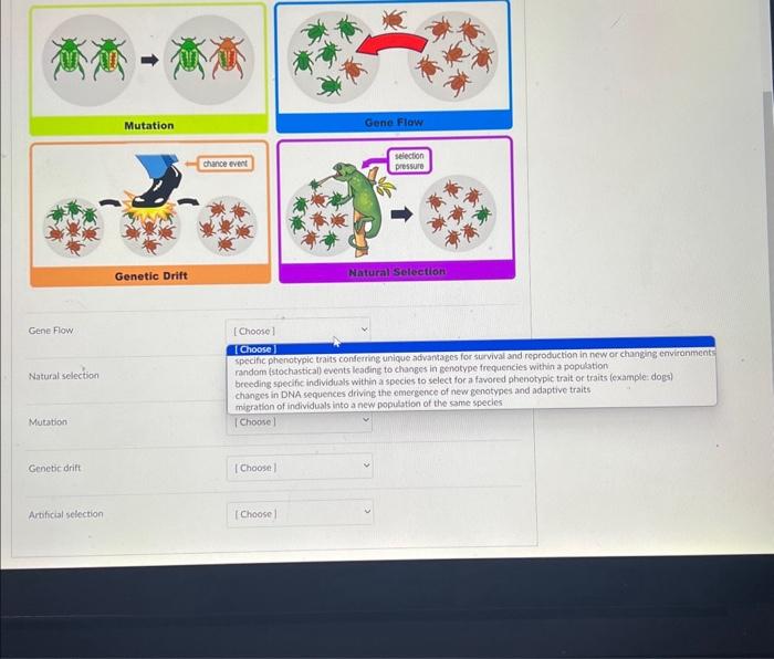 Solved Gene Flow Natural selection Mutation Genetic drift | Chegg.com