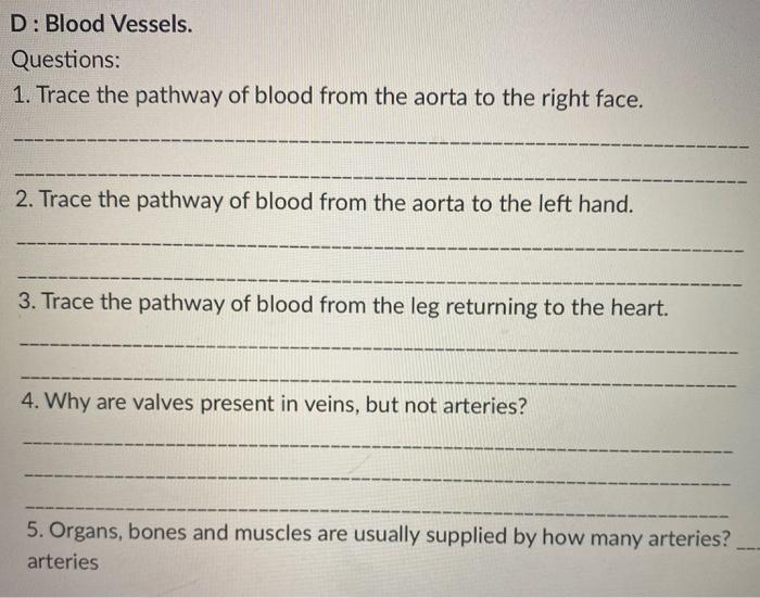 Solved D: Blood Vessels. Questions: 1. Trace the pathway of | Chegg.com