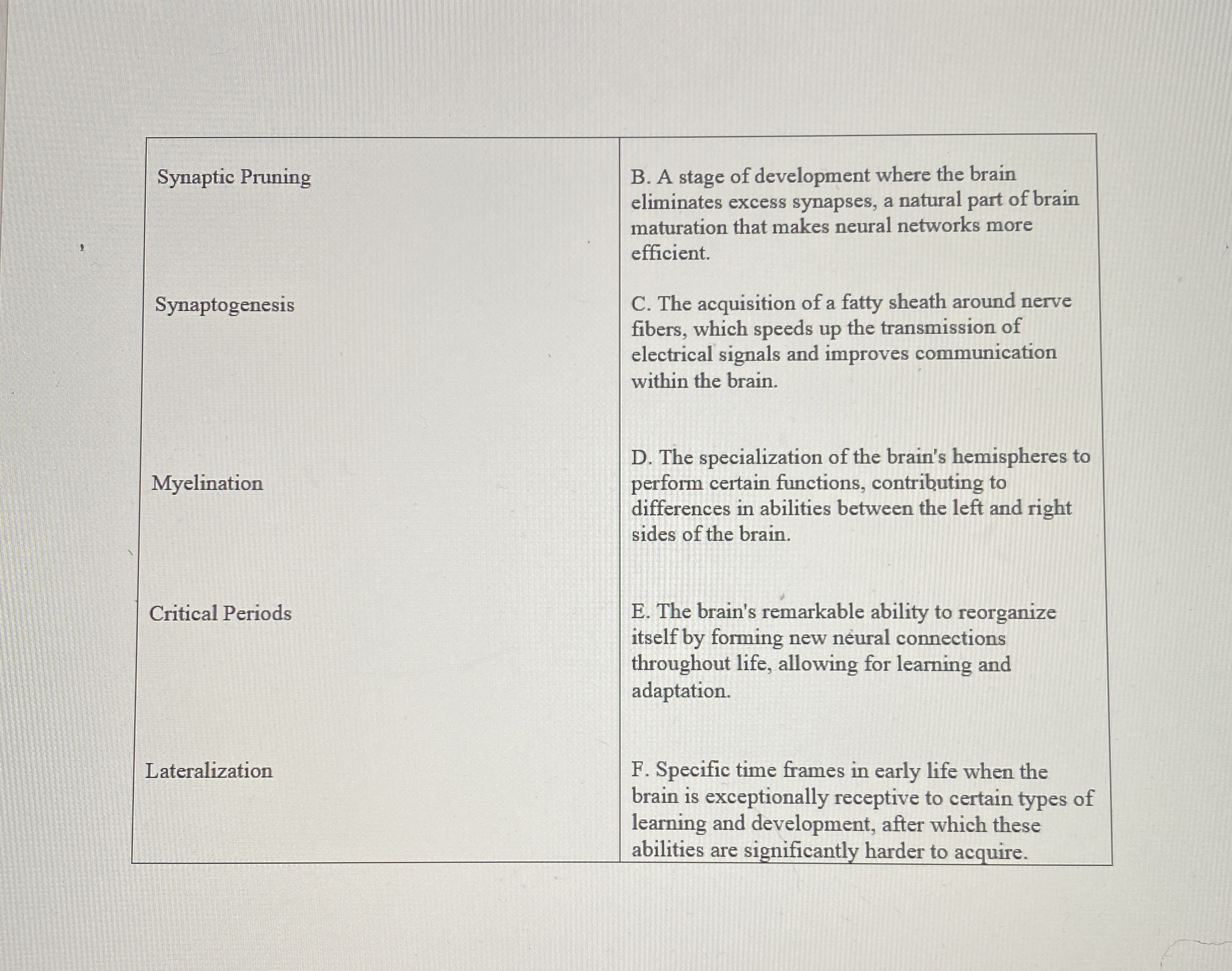 Solved Synaptic PruningSynaptogenesisMyelinationCritical | Chegg.com
