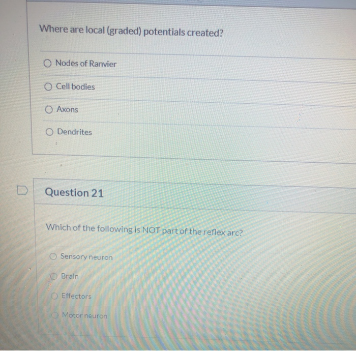 Solved Where are local (graded) potentials created? Nodes of | Chegg.com