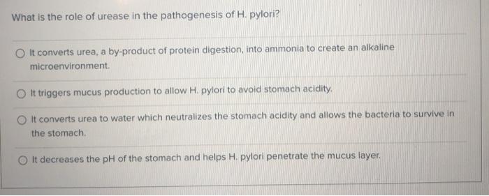 Solved What is the role of urease in the pathogenesis of H. | Chegg.com