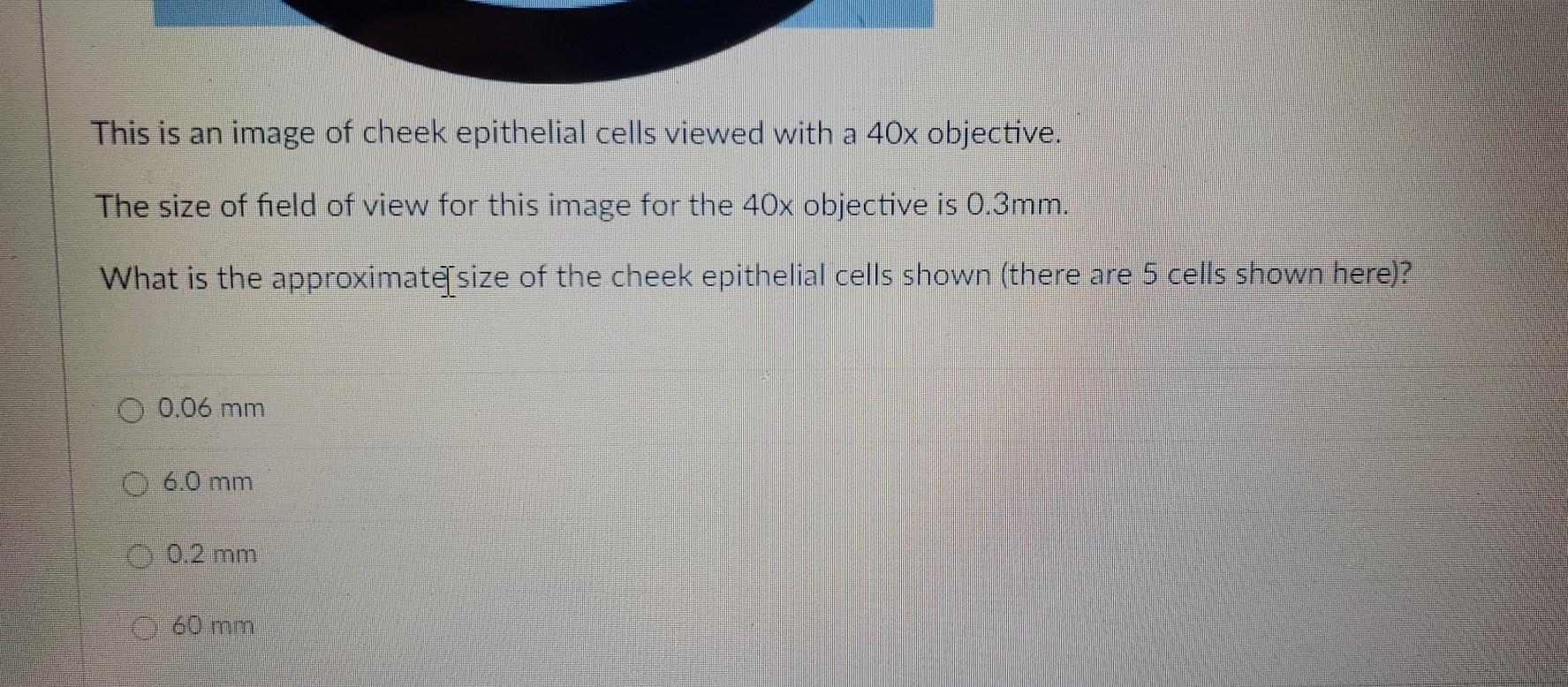 Solved "What is the actual width of this cell in the | Chegg.com