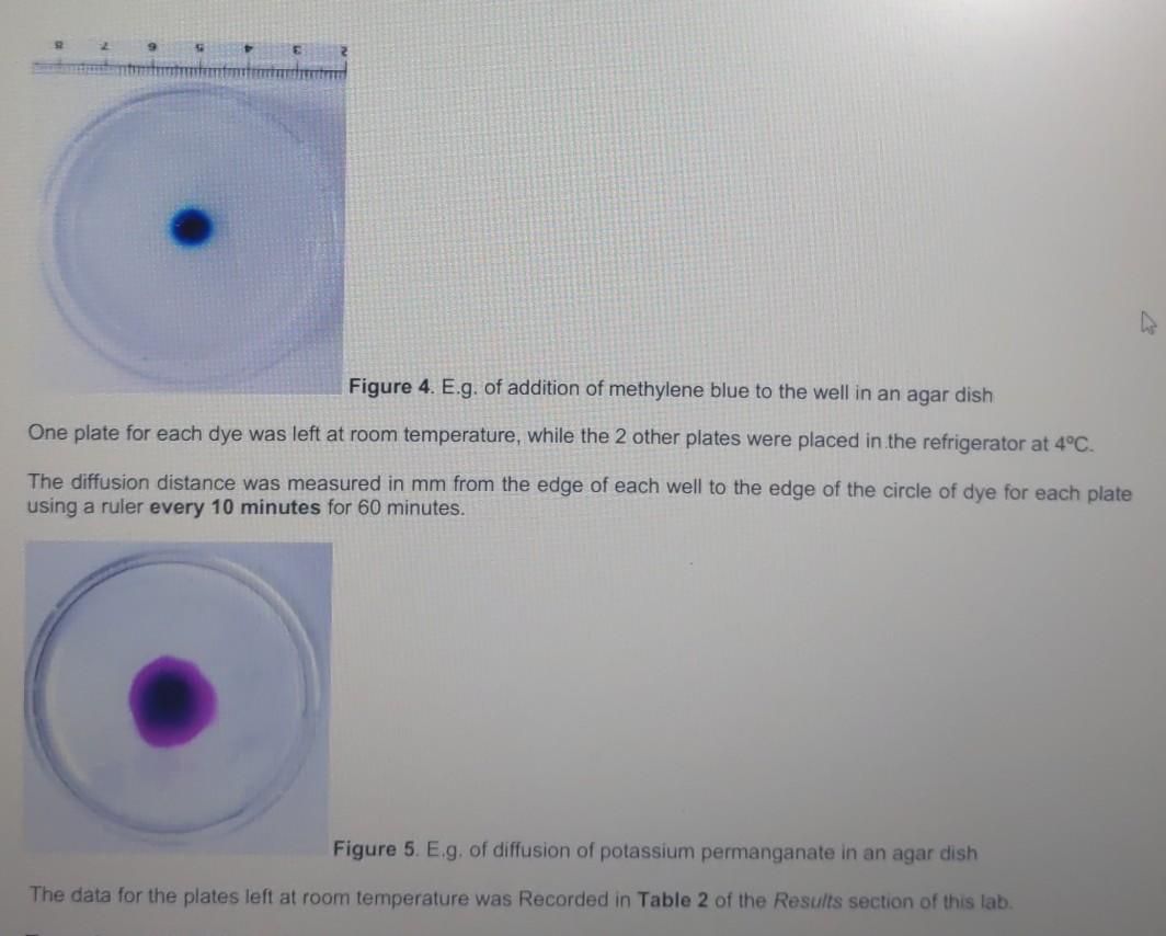 Solved Experiment 1 Effect of molecular weight & temperature | Chegg.com