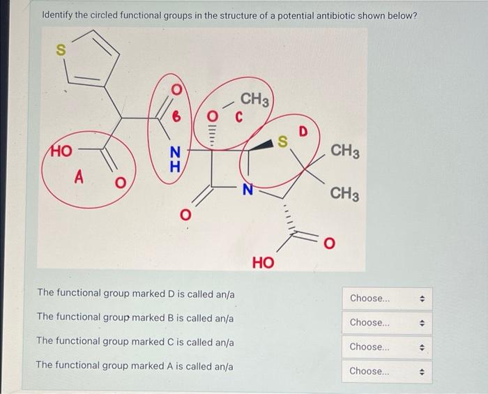 Solved Identify the circled functional groups in the | Chegg.com