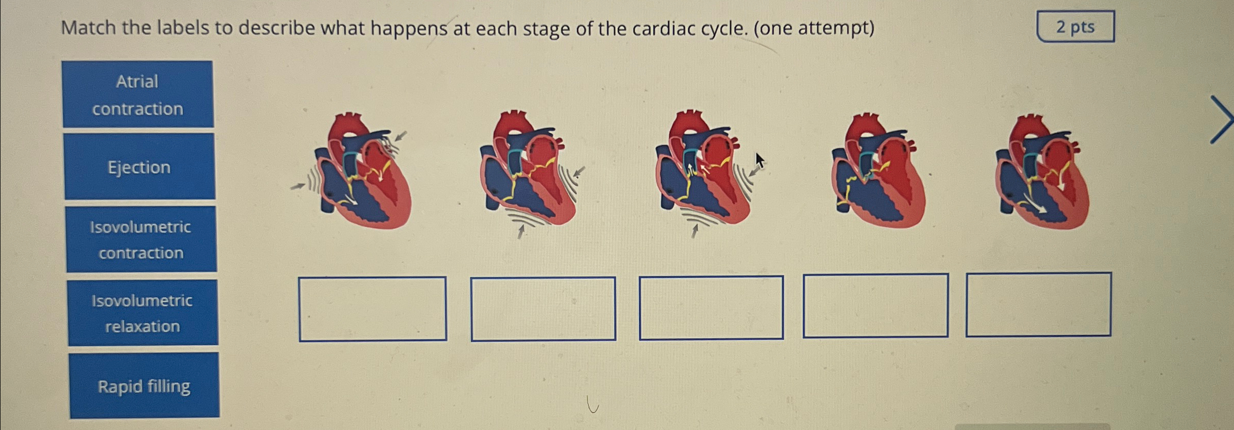 Solved Match the labels to describe what happens at each | Chegg.com