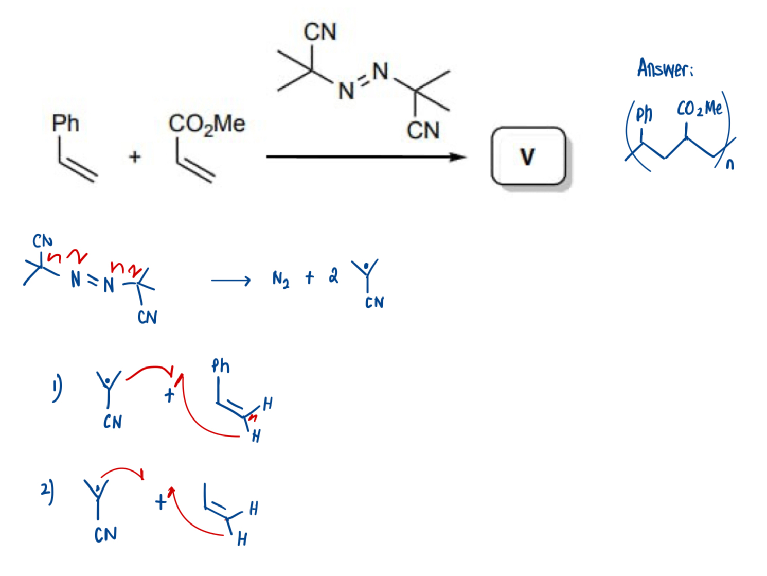 Solved In this Radical co-polymerisation reaction, AIBN is | Chegg.com