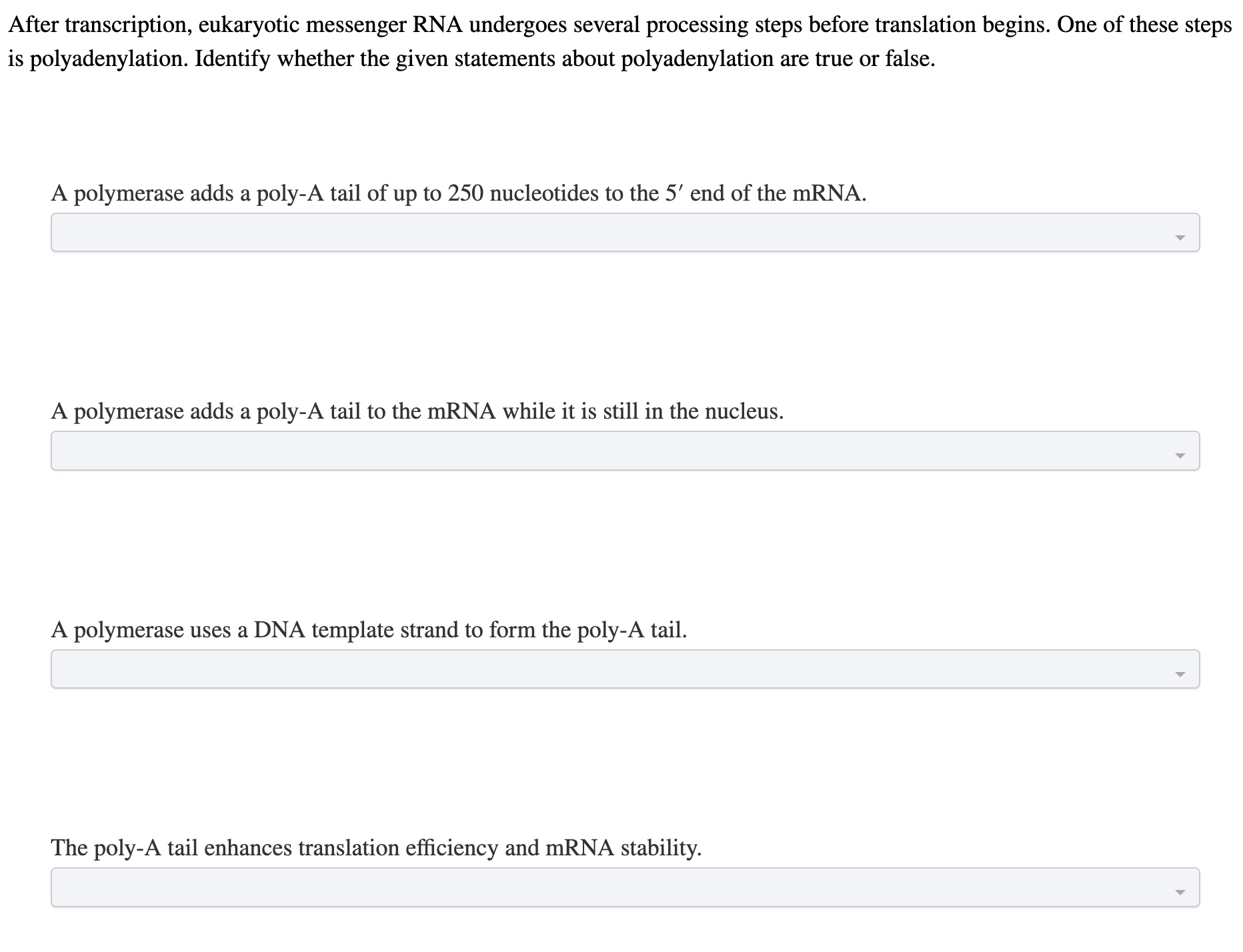Solved After transcription, eukaryotic messenger RNA | Chegg.com