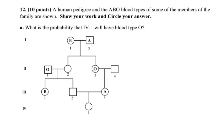 Solved 12. (10 points) A human pedigree and the ABO blood | Chegg.com