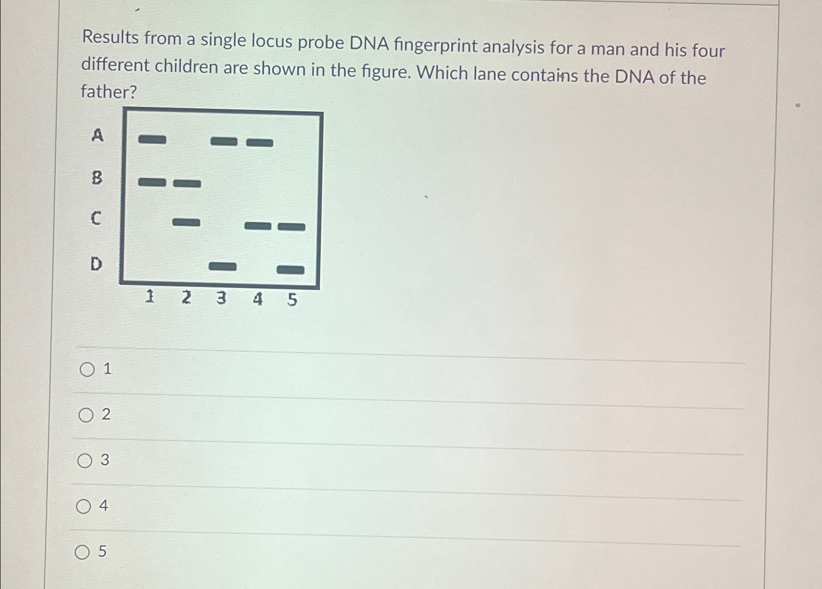Solved Results from a single locus probe DNA fingerprint | Chegg.com