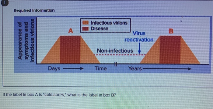 Solved Required Information A Infectious virions Disease | Chegg.com